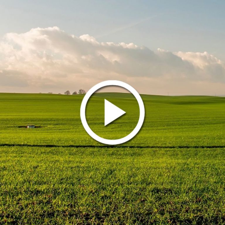 Mata-Turf – Selling Customer Satisfaction